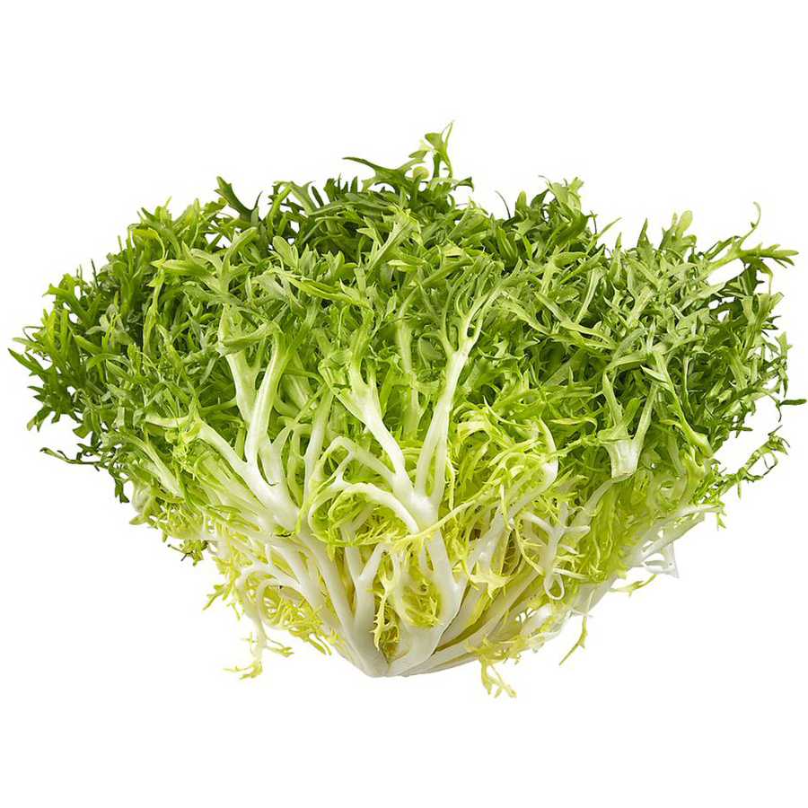 Frisee (Curly Endive) - 1 Head – Asian Veggies