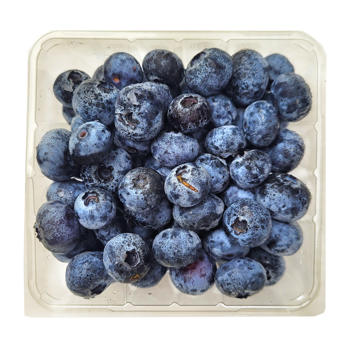 Blueberry - 1 Pint – Asian Veggies