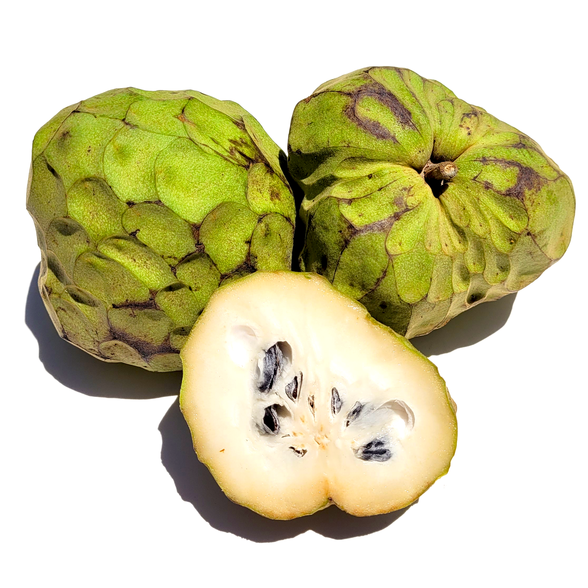 Costard Apple