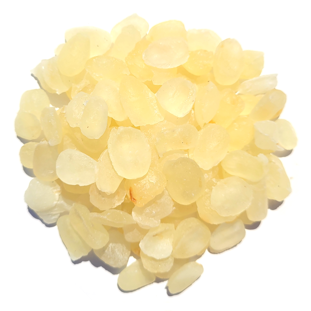 Dried Snow Lotus Seeds - 2 oz – Asian Veggies