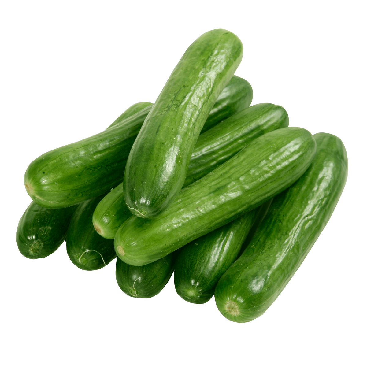 Persian Cucumber - 1 Lb – Asian Veggies