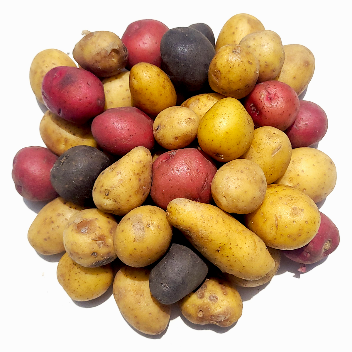 Assorted Baby Pee Wee Potato - 1 Lb – Asian Veggies