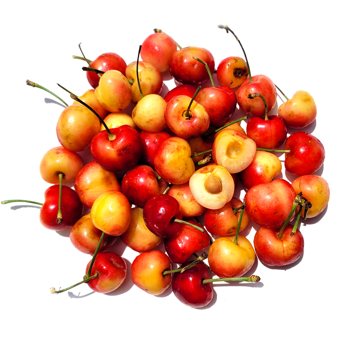 Rainier Sweet Cherry - 2 Lbs – Asian Veggies