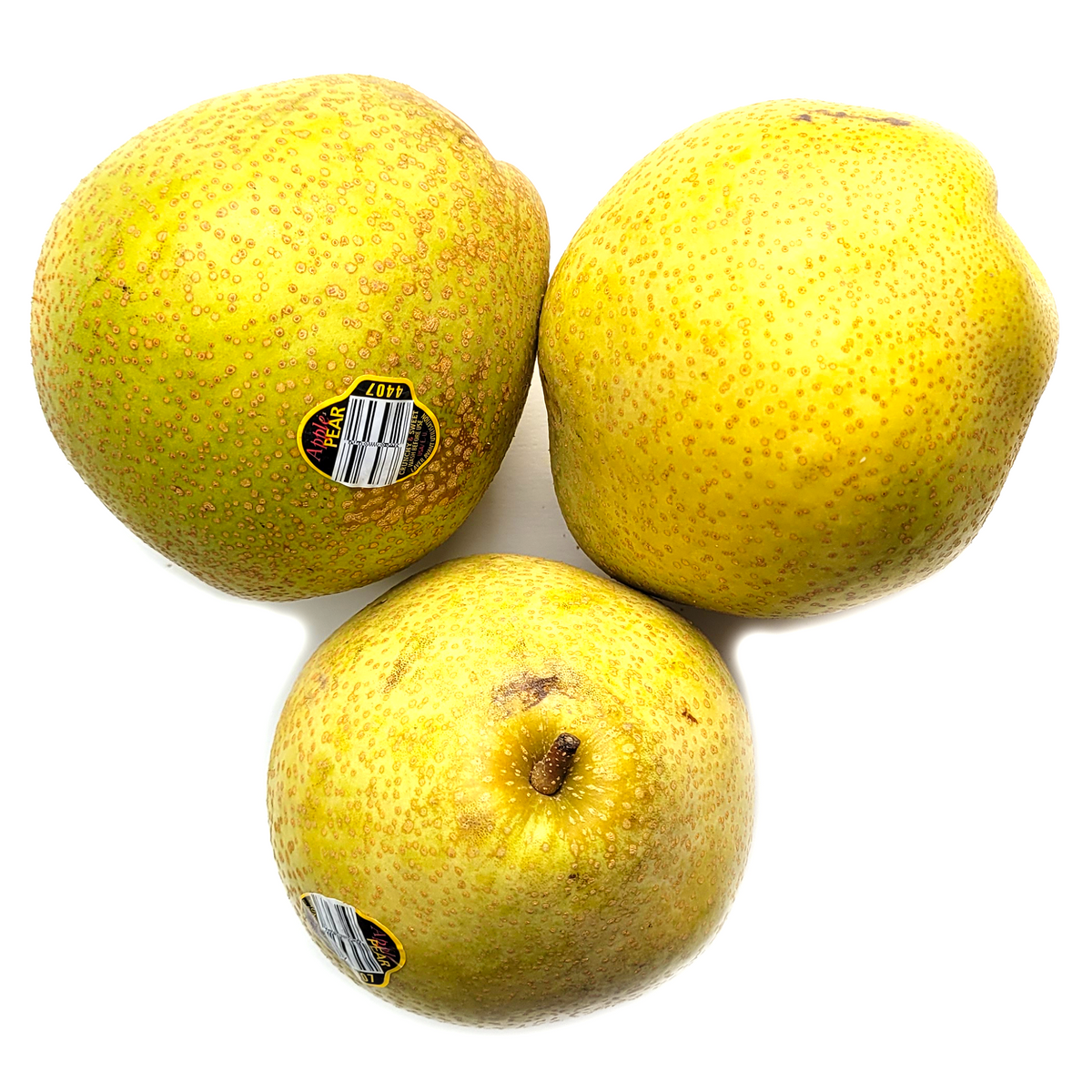 Shin Li Apple Pear #24 - 2 Pieces – Asian Veggies